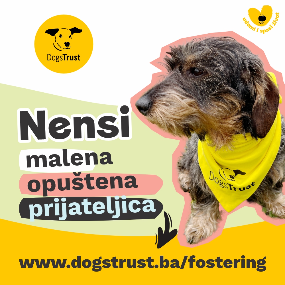 NENSI - Fondacija Dogs Trust BiH