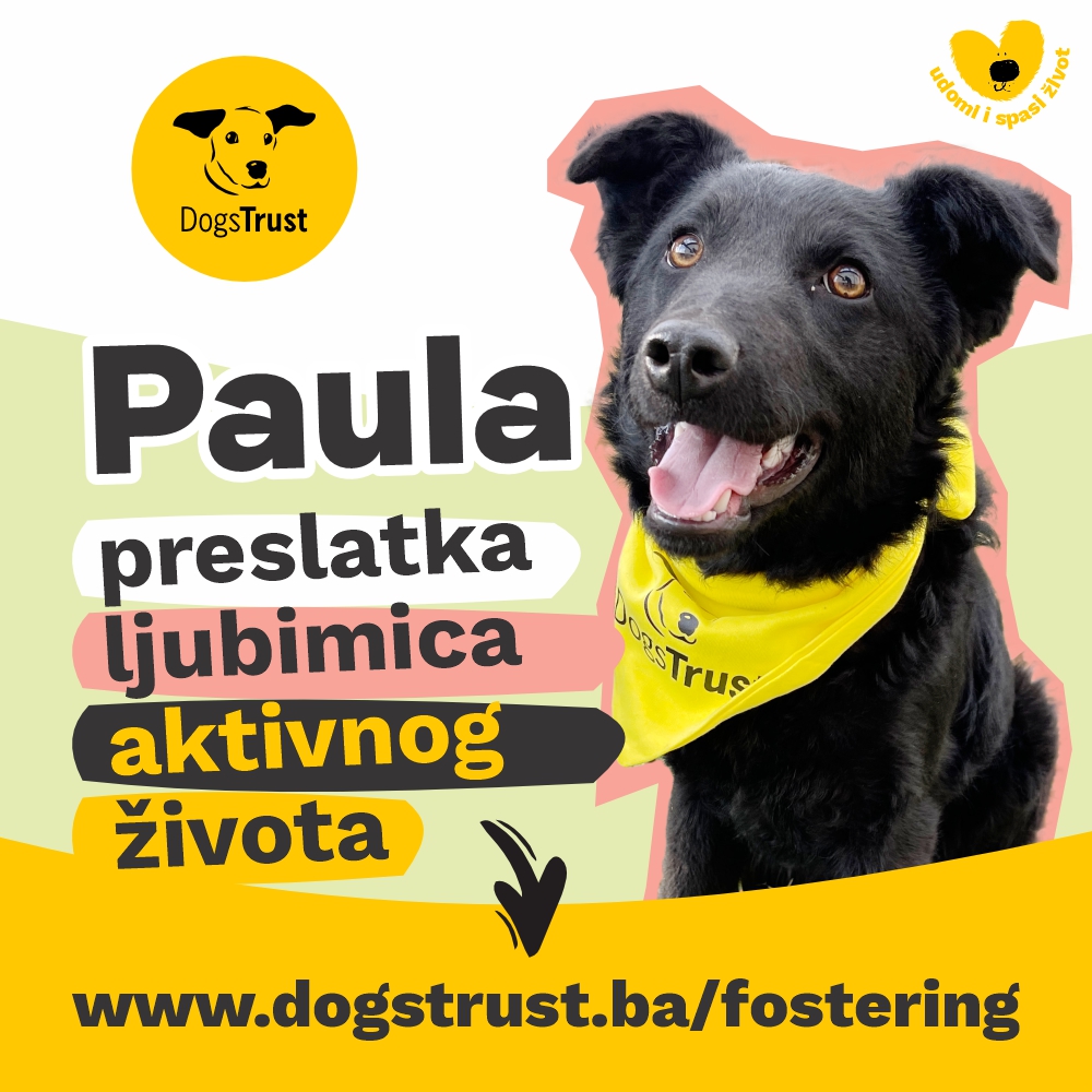 PAULA - Fondacija Dogs Trust BiH
