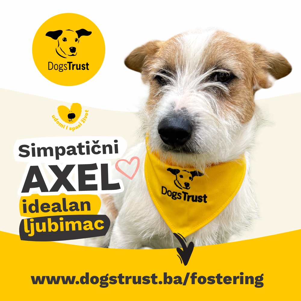 AXEL - Fondacija Dogs Trust BiH