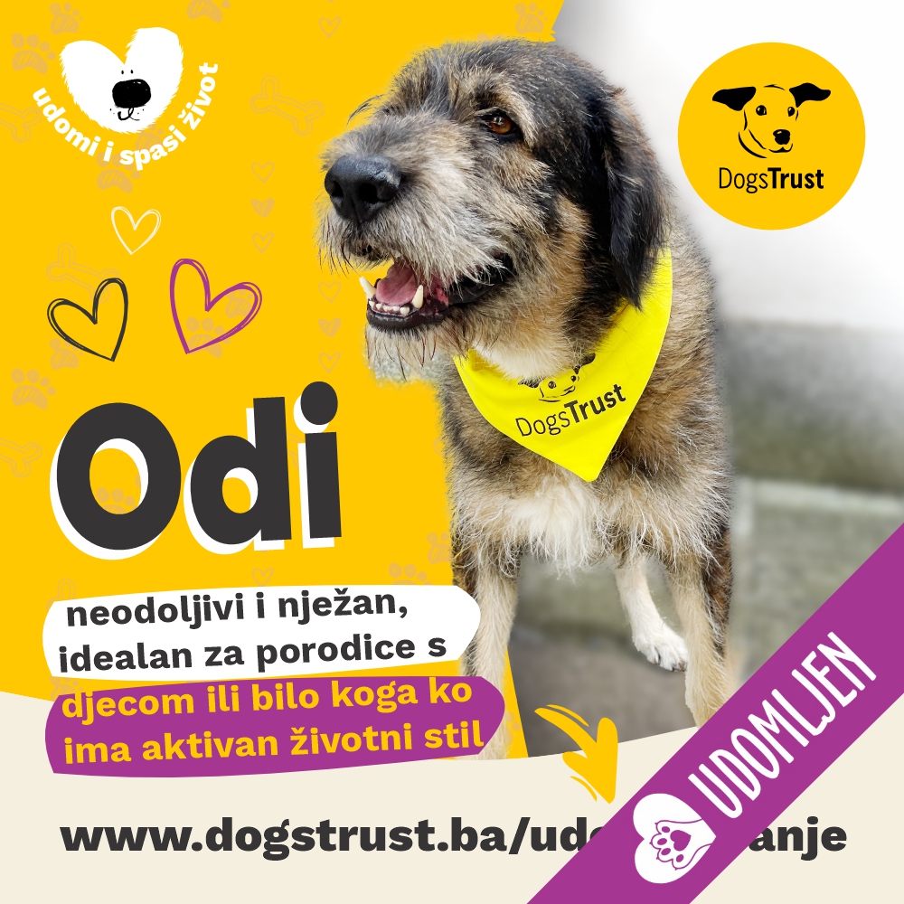 ODI - Fondacija Dogs Trust BiH