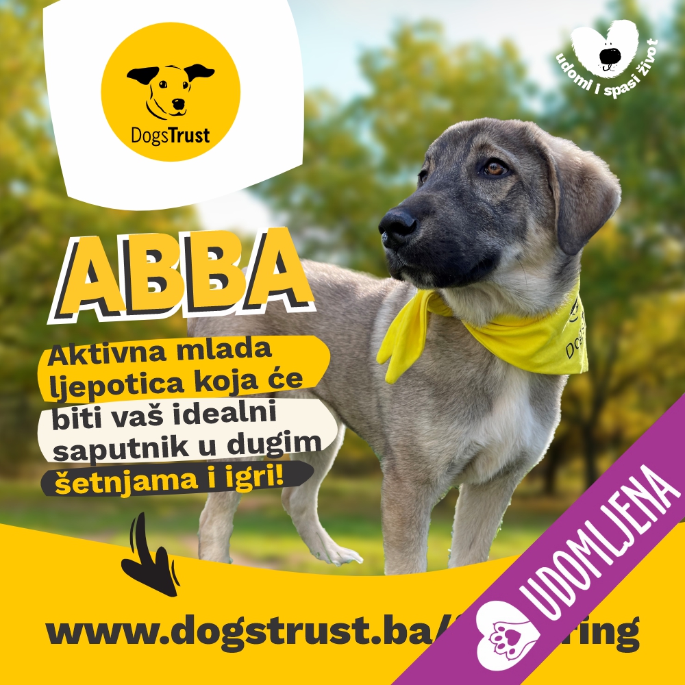 Abba - Fondacija Dogs Trust BiH