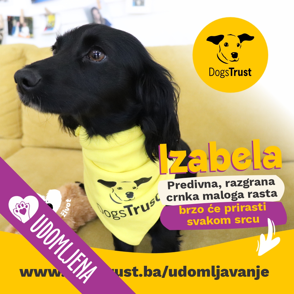 IZABELA - Fondacija Dogs Trust BiH