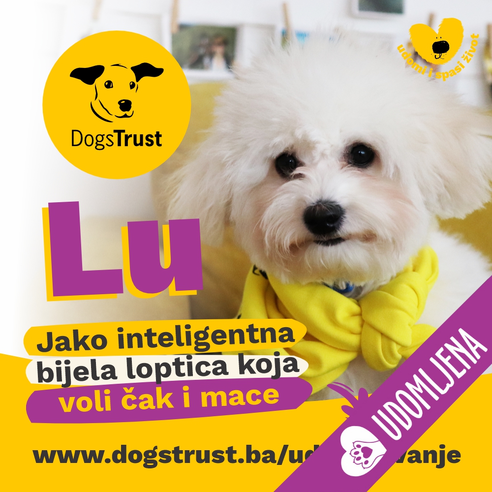 LU - Fondacija Dogs Trust BiH