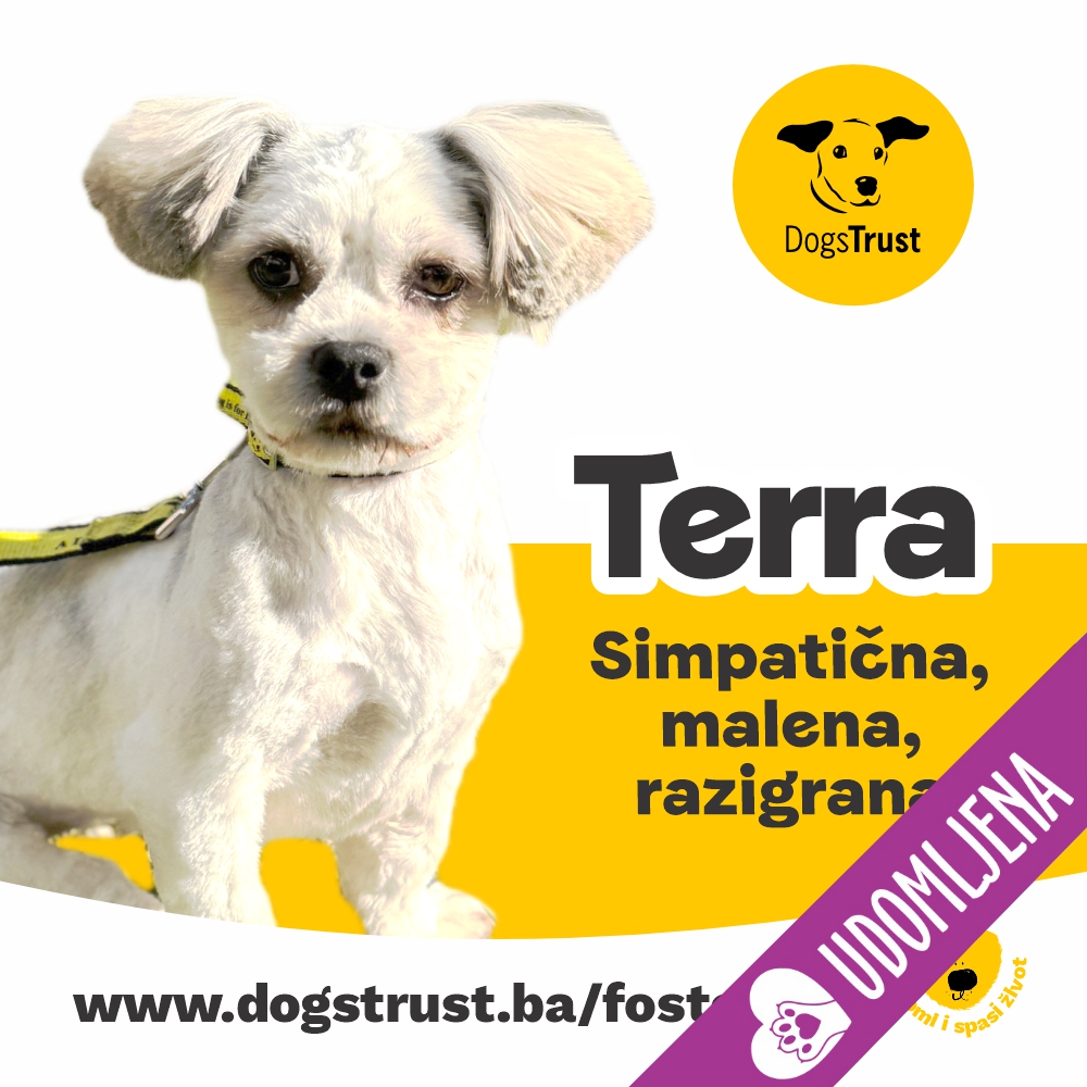 Terra - Fondacija Dogs Trust BiH