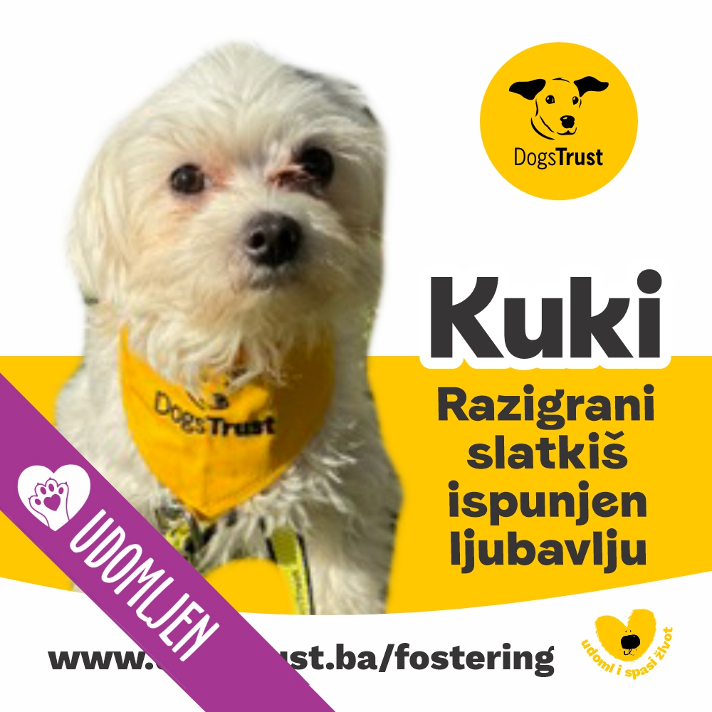 KUKI - Fondacija Dogs Trust BiH
