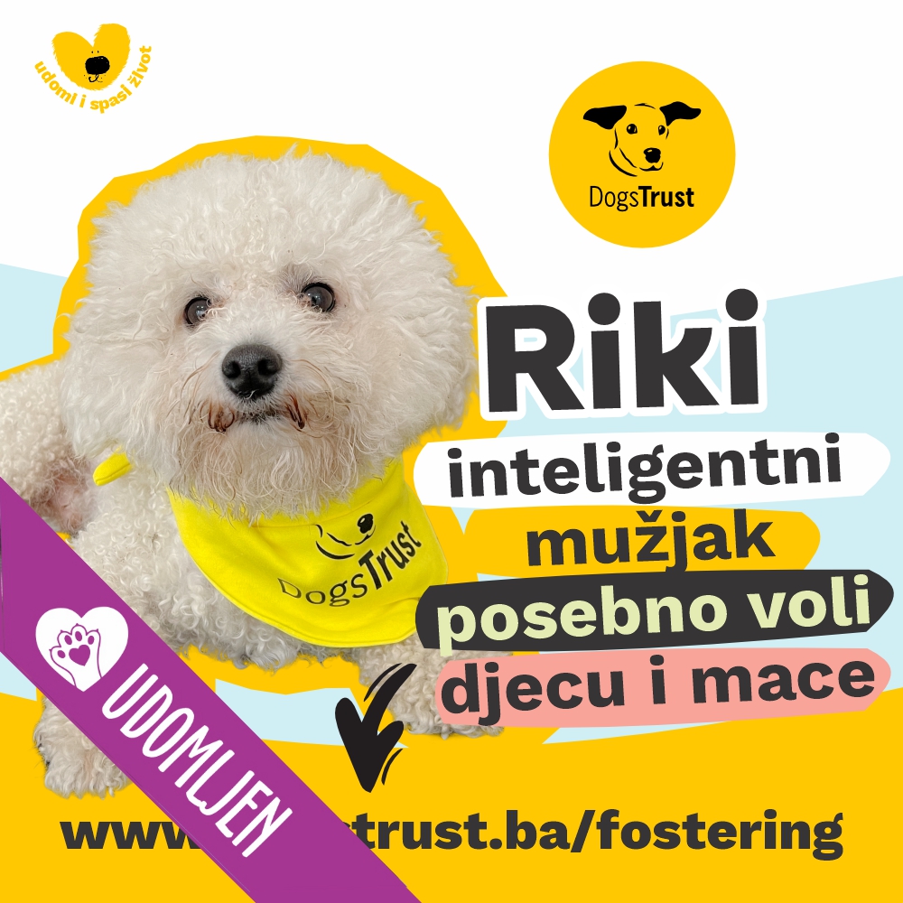 RIKI - Fondacija Dogs Trust BiH