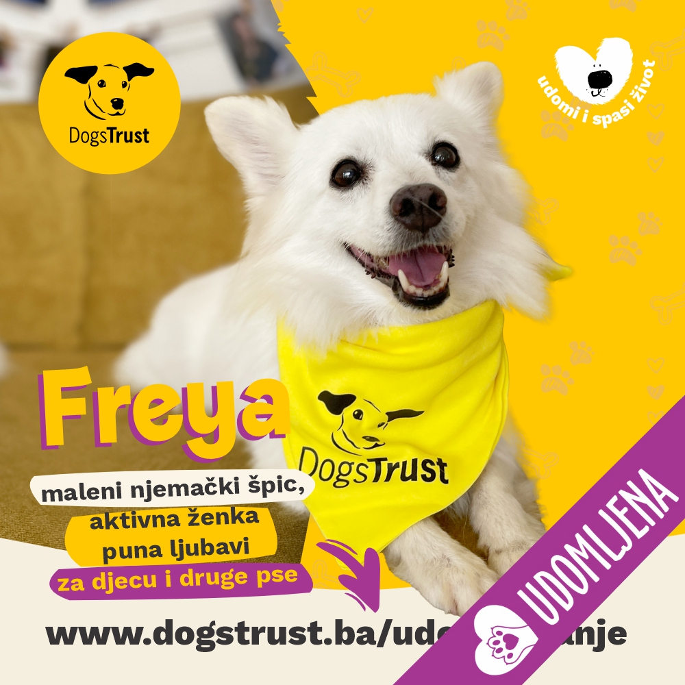 FREYA - Fondacija Dogs Trust BiH