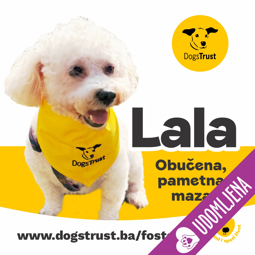 LALA - Fondacija Dogs Trust BiH