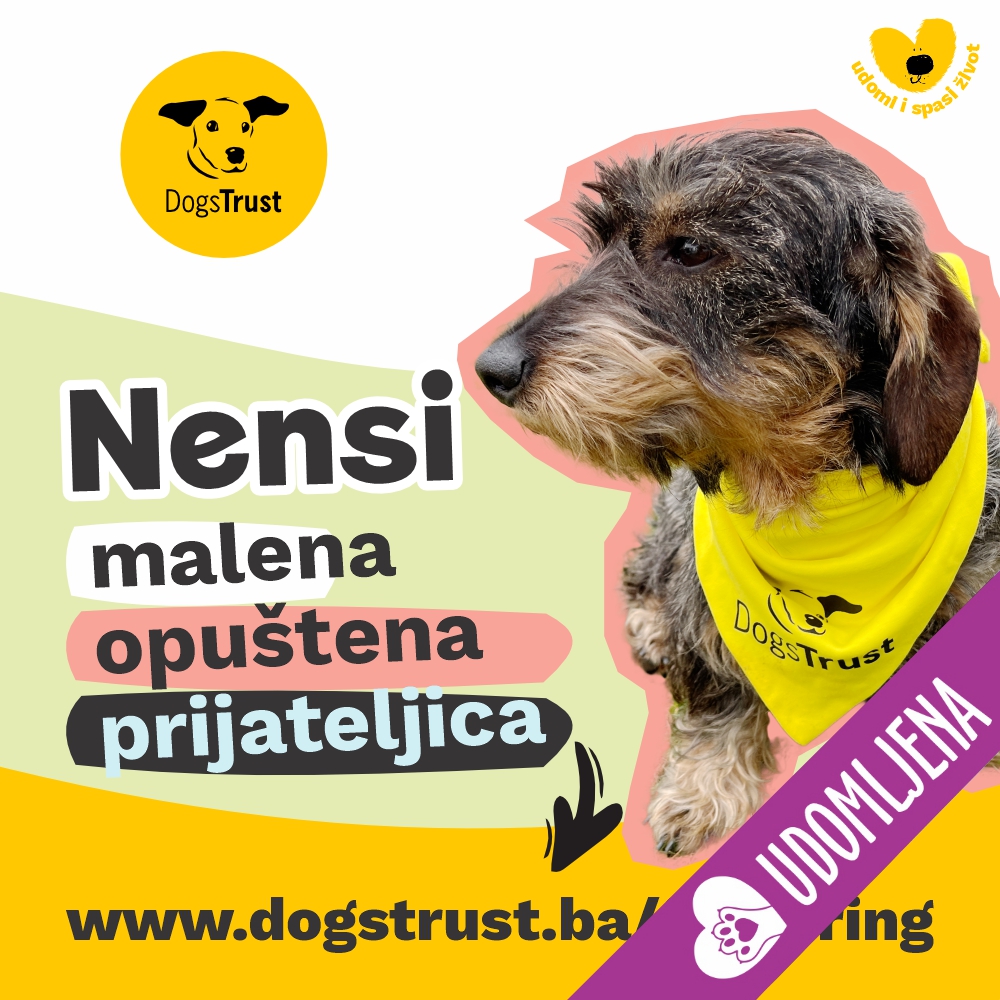 NENSI - Fondacija Dogs Trust BiH