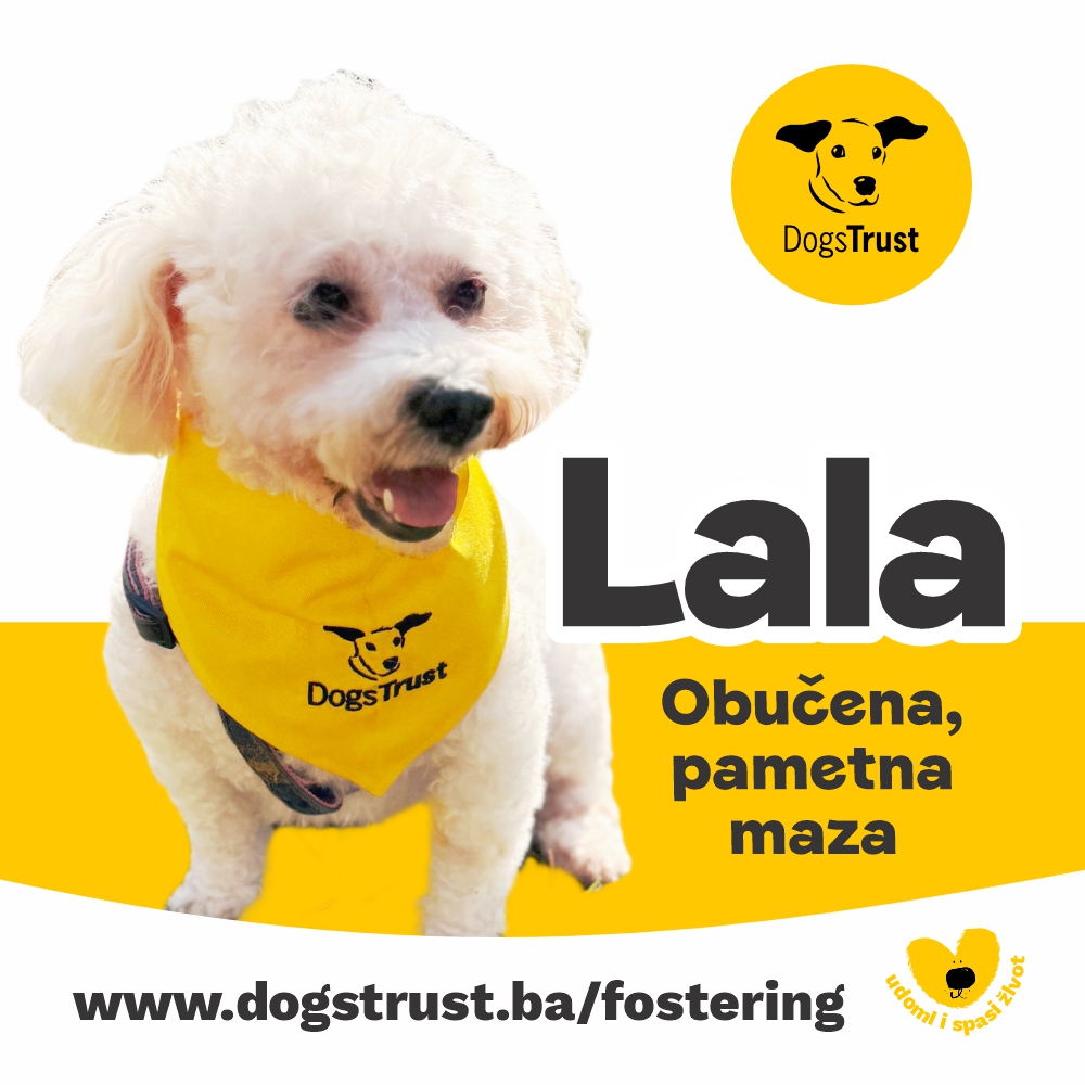 LALA - Fondacija Dogs Trust BiH