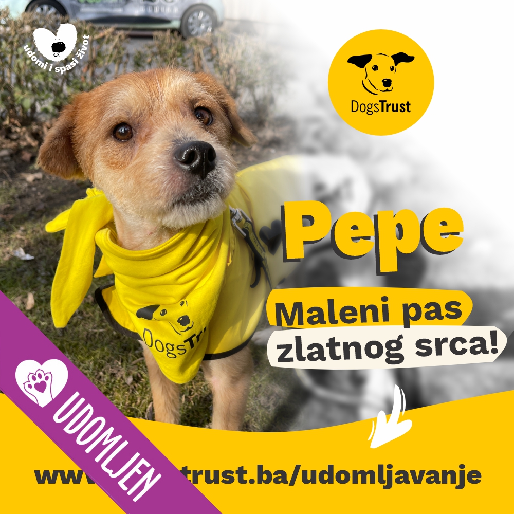 PEPE - Fondacija Dogs Trust BiH