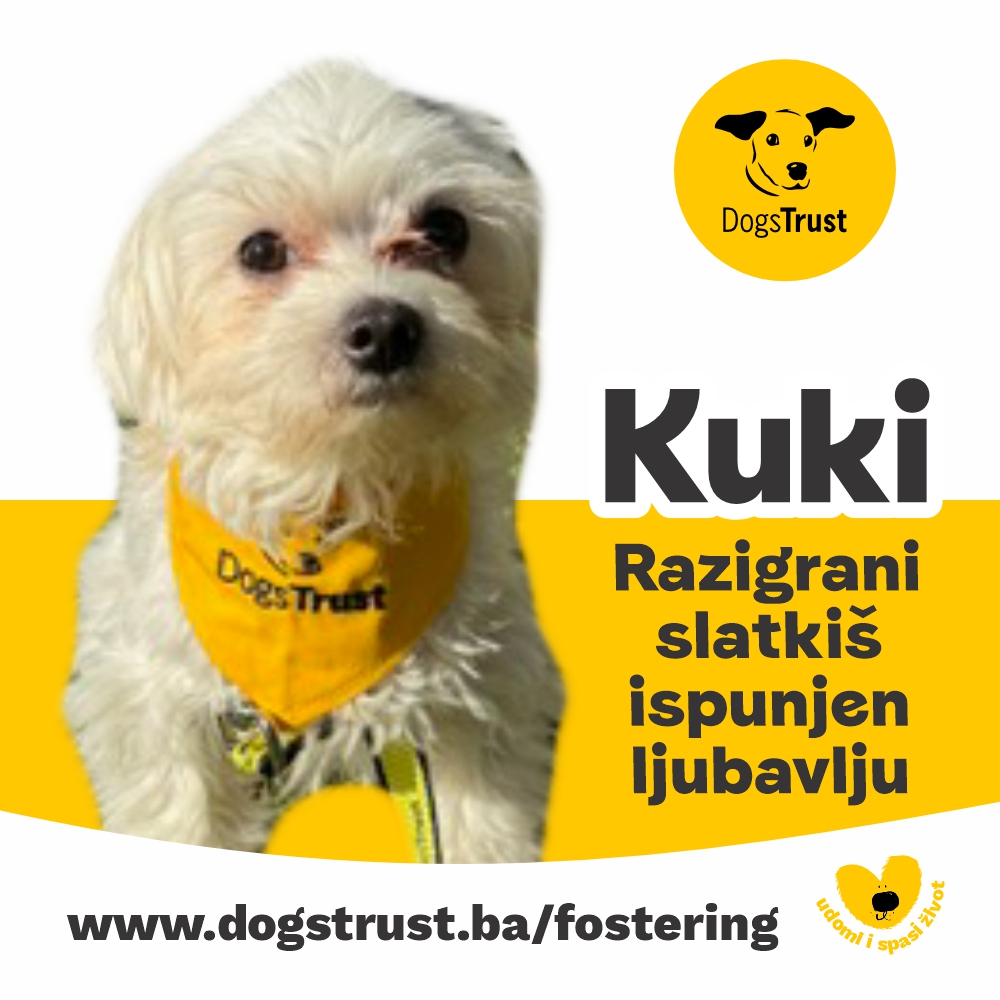 KUKI - Fondacija Dogs Trust BiH