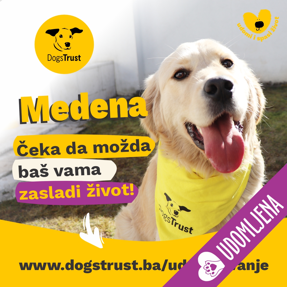 MEDENA - Fondacija Dogs Trust BiH