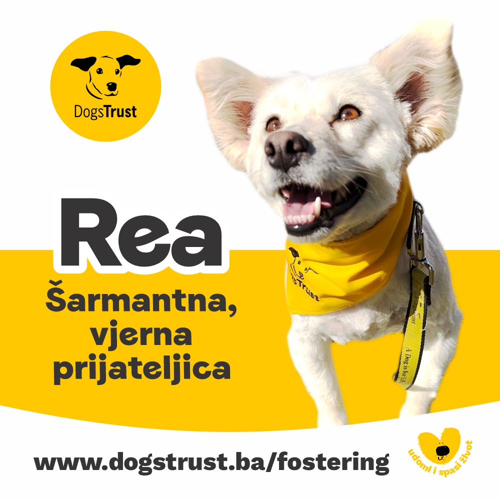 REA - Fondacija Dogs Trust BiH