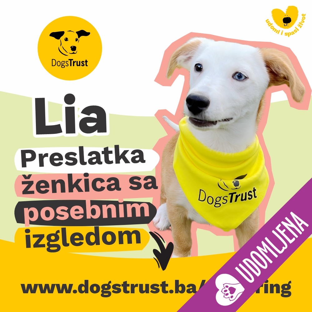 LIA - Fondacija Dogs Trust BiH