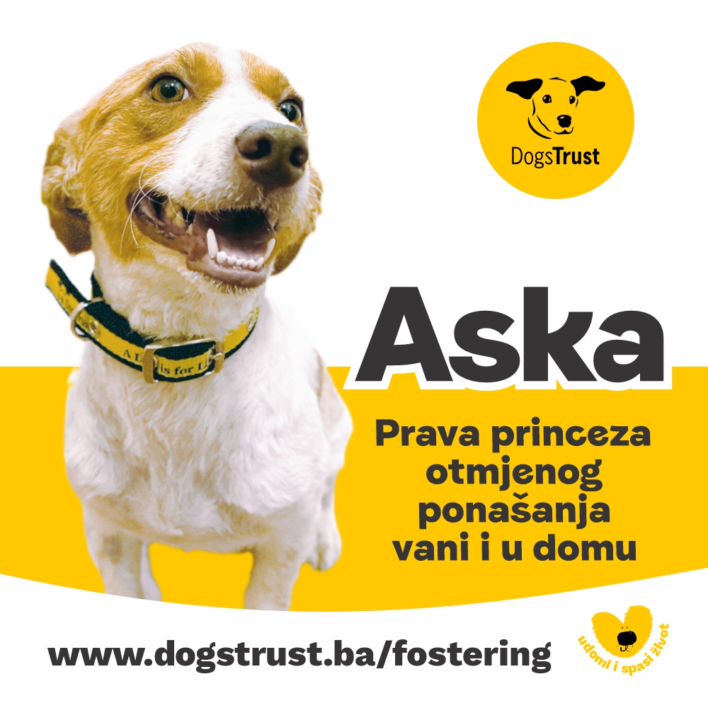 ASKA - Fondacija Dogs Trust BiH