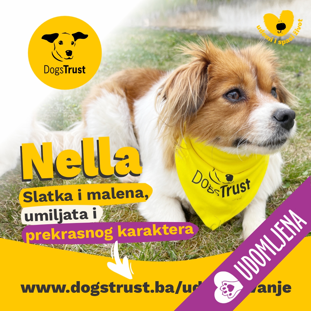 NELLA - Fondacija Dogs Trust BiH