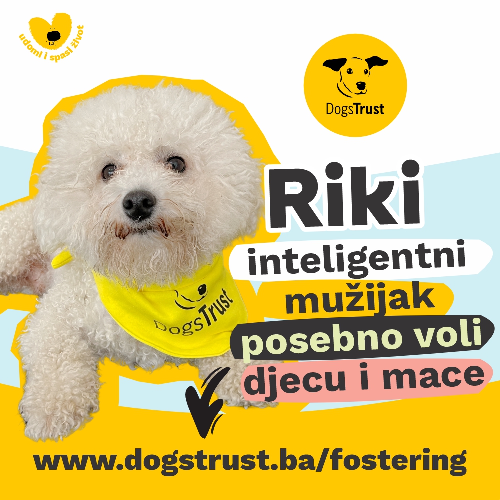 RIKI - Fondacija Dogs Trust BiH