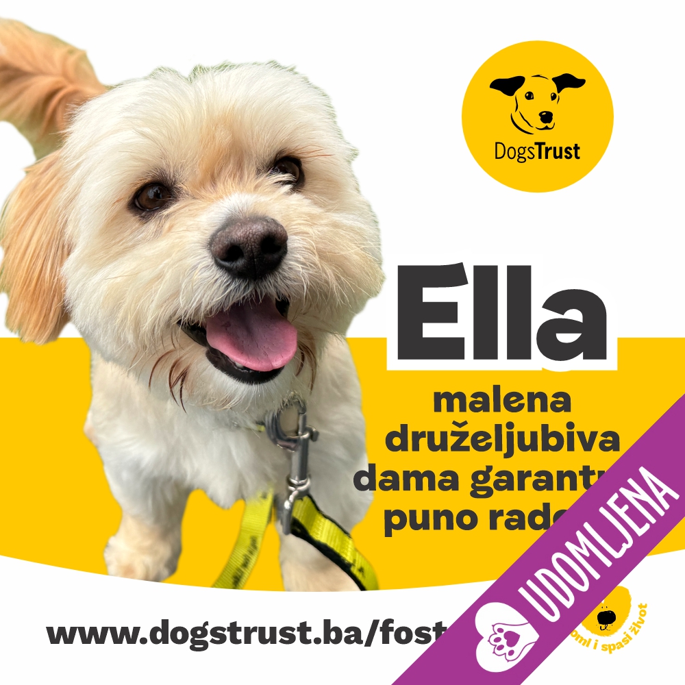 ELLA - Fondacija Dogs Trust BiH
