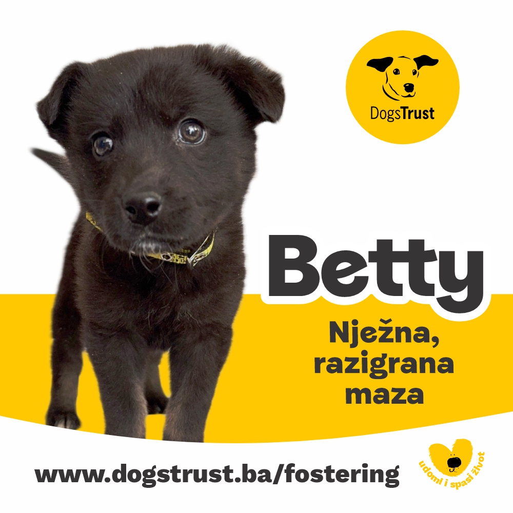 BETTY - Fondacija Dogs Trust BiH